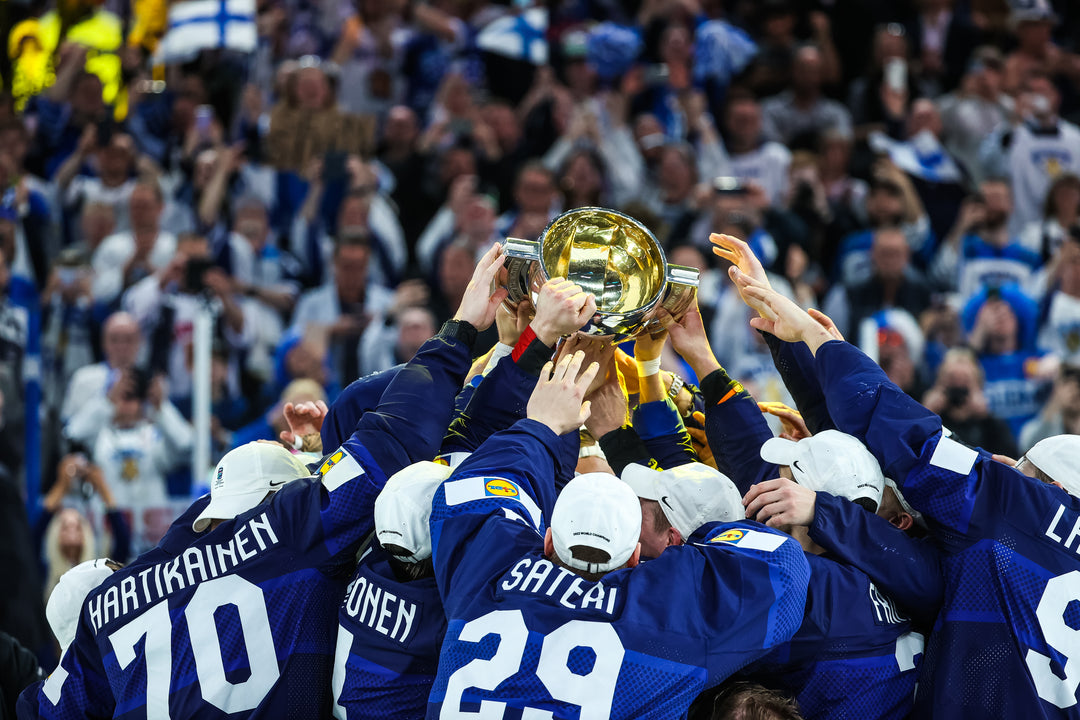 Leijonat Store